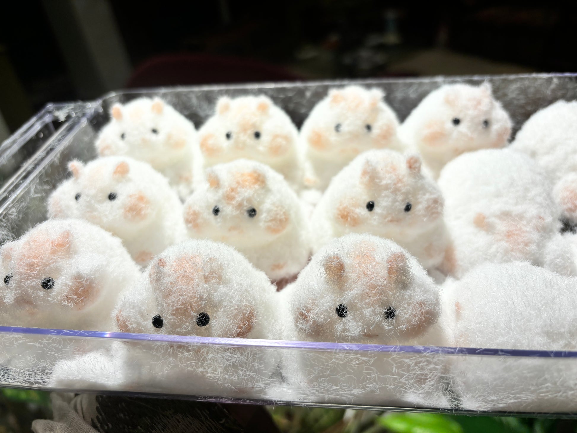 Hamster taba squishy (bestseller) – MoonKatt